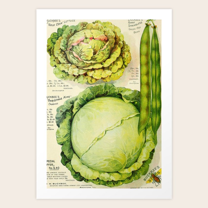Vintage Vegetable Prints