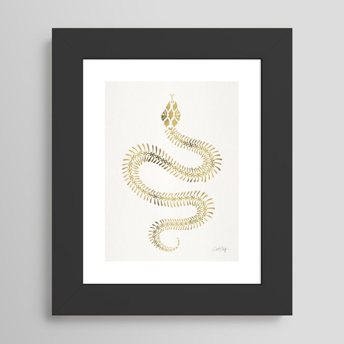 snake skeleton framed