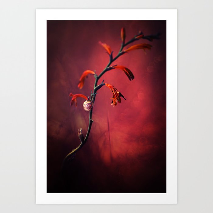 Garden impression with tiny snail Art Print by Jablam | Society6