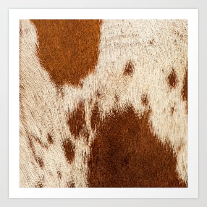 cowhide print