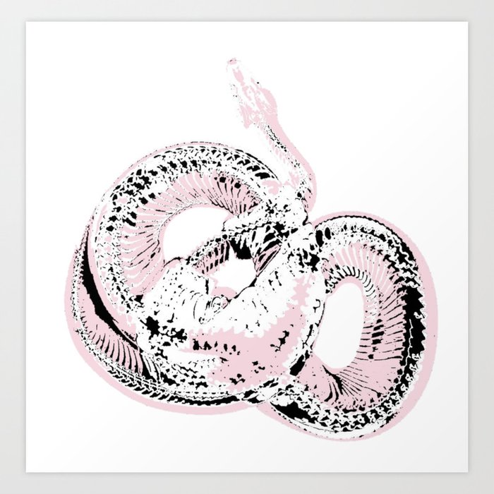 Ball Python Skeleton