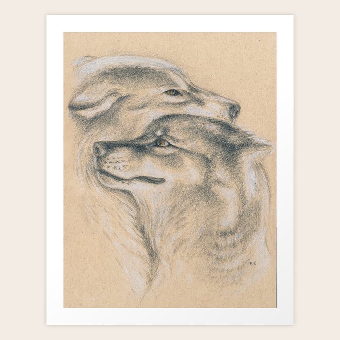 Drawing Of Wolves In The Wild