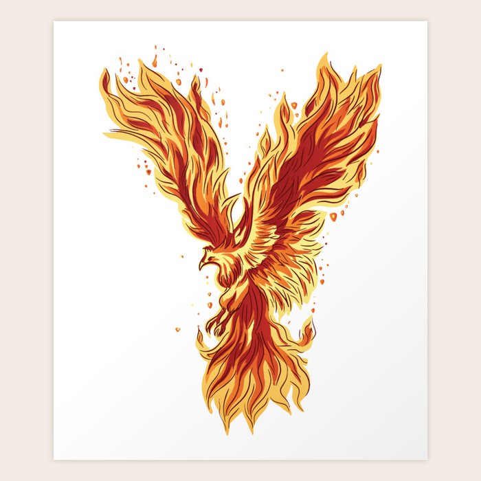 Phoenix Bird Drawings Color