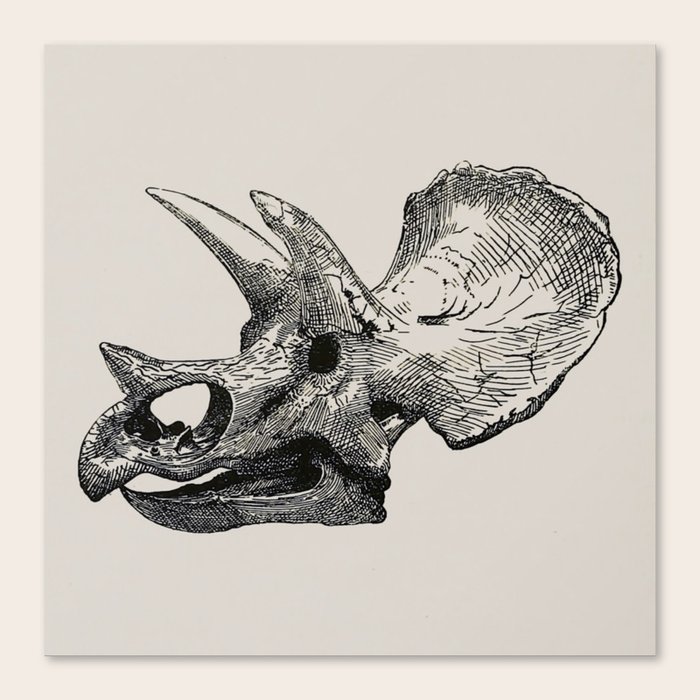 dinosaur skeleton prints