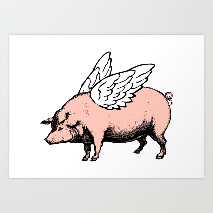 Flying Pigs Drawing