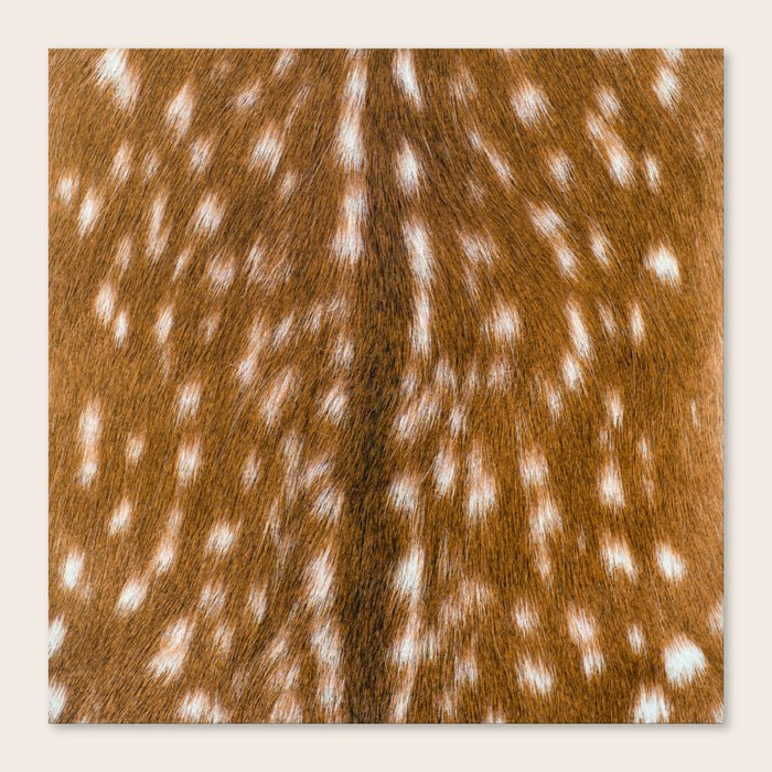Deer Hide Texture