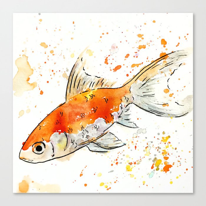 Fancy Goldfish Drawing