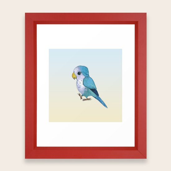 Blue Quaker Parrot Clip Art