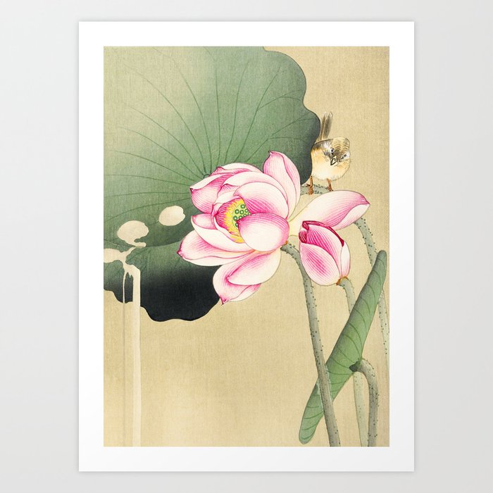 Japanese Lotus Flower Art