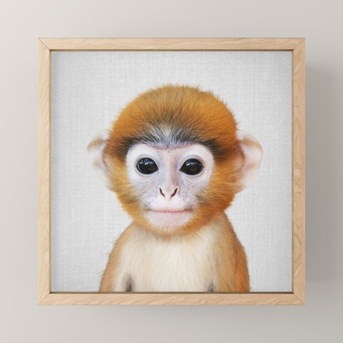 monkey photo frame