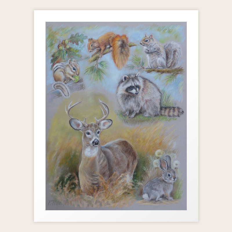 Wildlife Collage Drawing