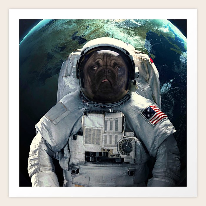 Doge Astronaut