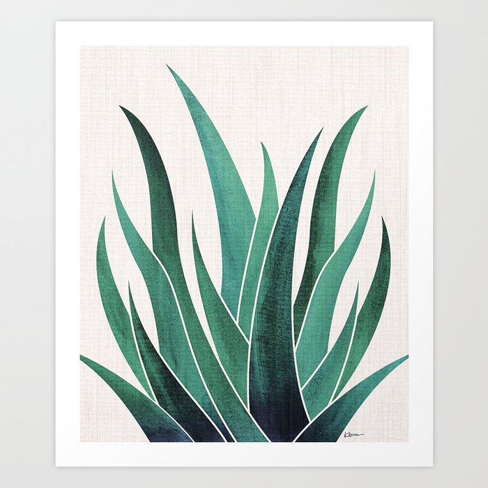 agave drawing