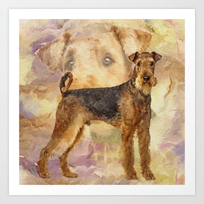 Airedale Terrier What Is The Mix