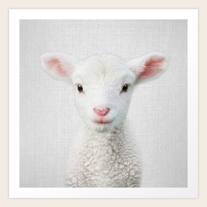 lamb black and white frames