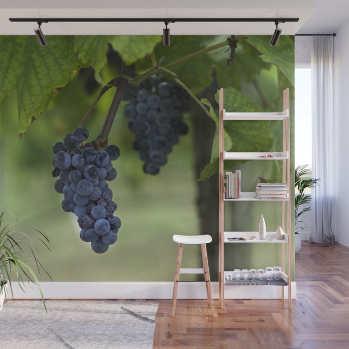 Grapevine Cluster