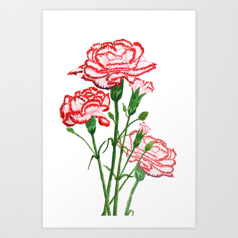 Wall Hangings Home Décor Carnation set of 2 prints etna.com.pe