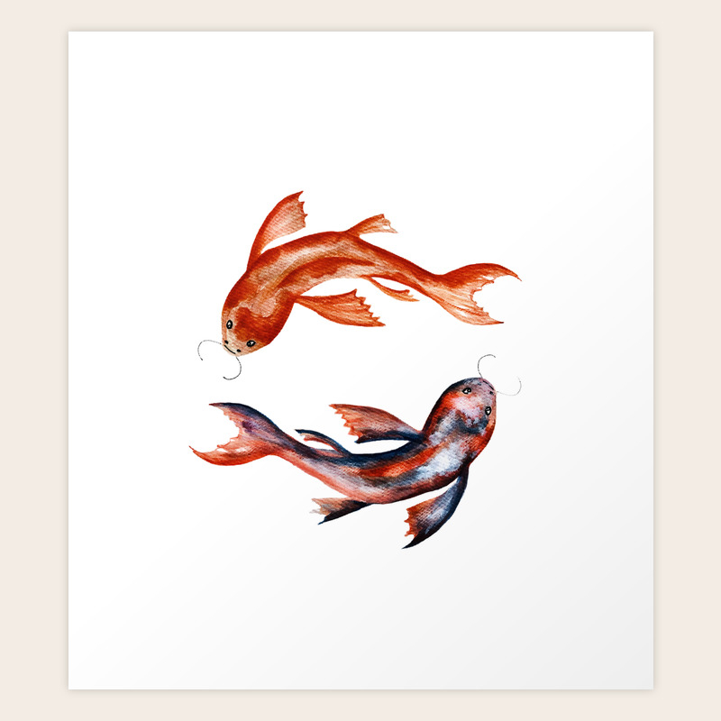 Two Koi Fish Drawings