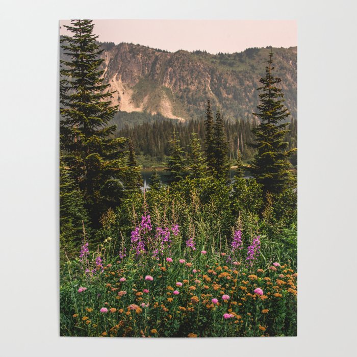 wanderlust wildflowers