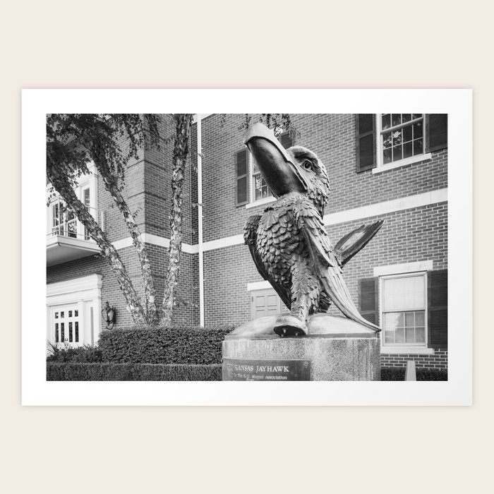 Black And White Jayhawk