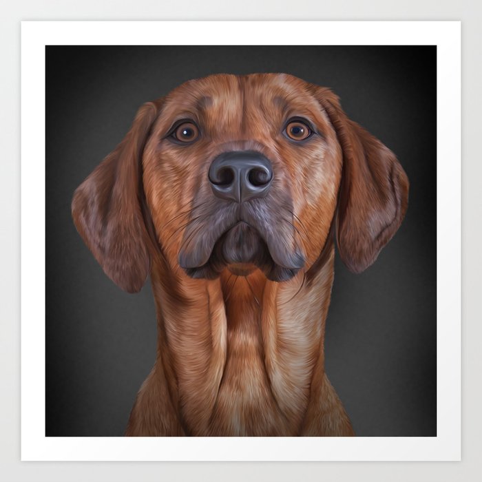 Drawing Rhodesian Ridgeback Art Print by bonidog | Society6