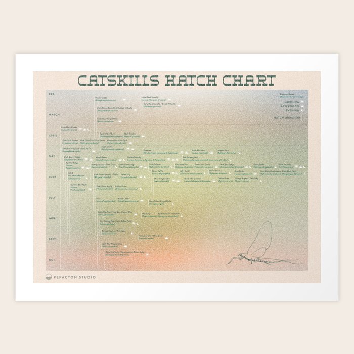 Catskills Hatch Chart Art Print by Pepacton Studio | Society6