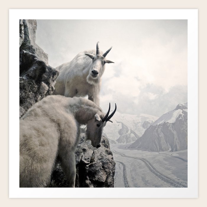 Mountain Goat Art