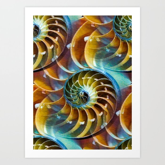 Nautilus Shell Painting