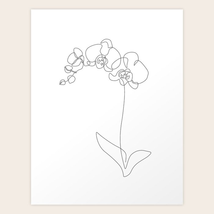 Simple Orchid Drawing