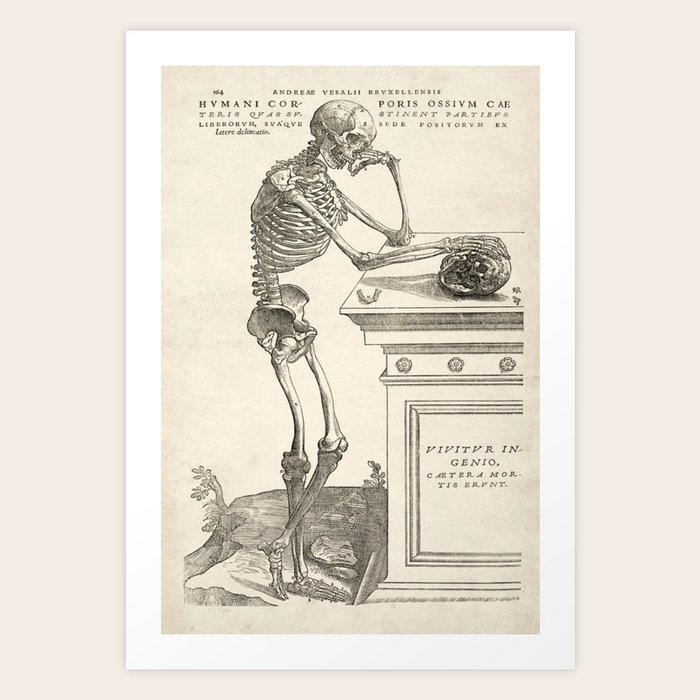 Andreas Vesalius Skeleton