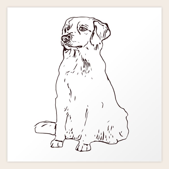 Golden Retriever Sitting Line Drawing