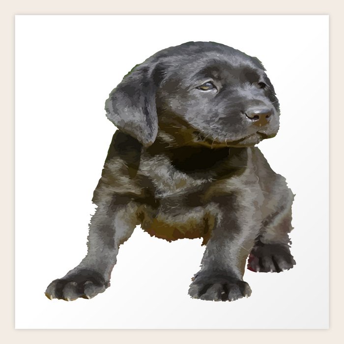 Cute Black Lab Puppy Mix