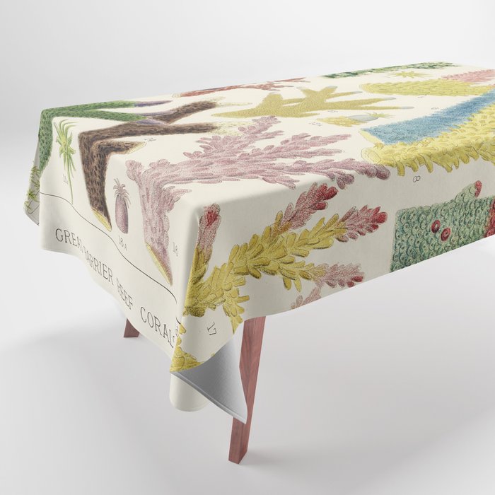 Vintage Australian marine biology illustration - great barrier reef ...