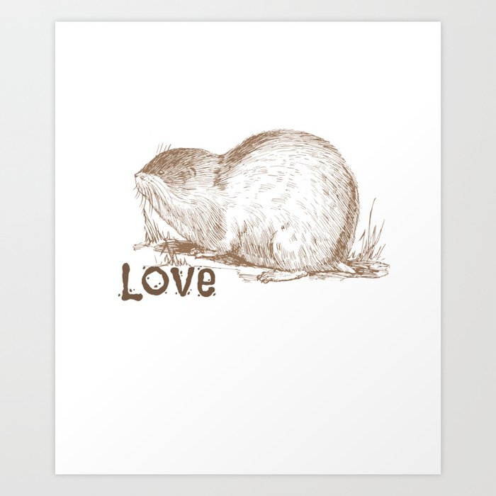 Muskrat Love
