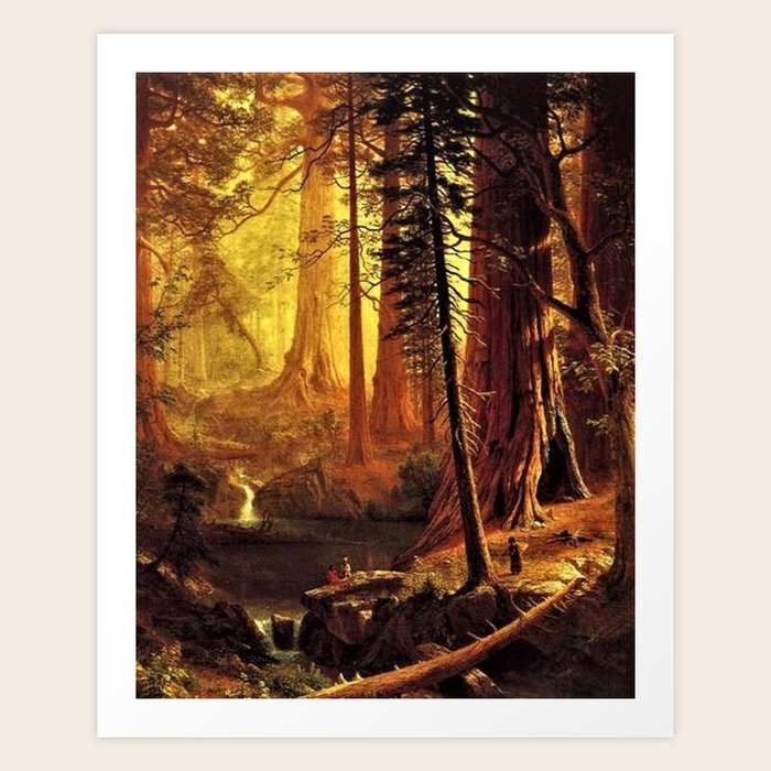 Redwood Tree Painting