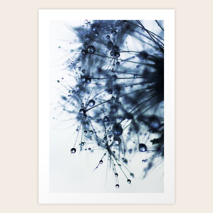dandelion blue XII Art Print by ingz | Society6